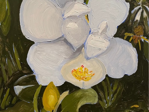 Peter Ligon - Artists - Barry Whistler Gallery