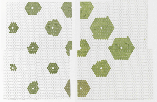 Julia Fish - Artists - Rhona Hoffman Gallery