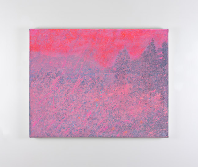 Elizabeth Magill - Artists - Kerlin Gallery