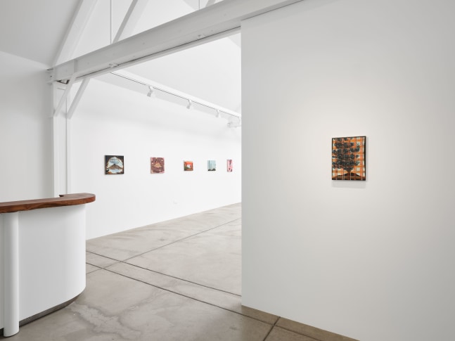 Caragh Thuring - - Exhibitions - Anthony Meier