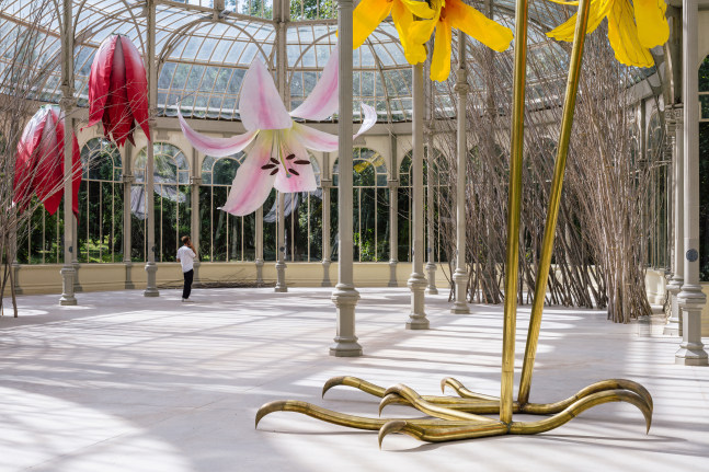 petrit halilaj - Artists - Kurimanzutto