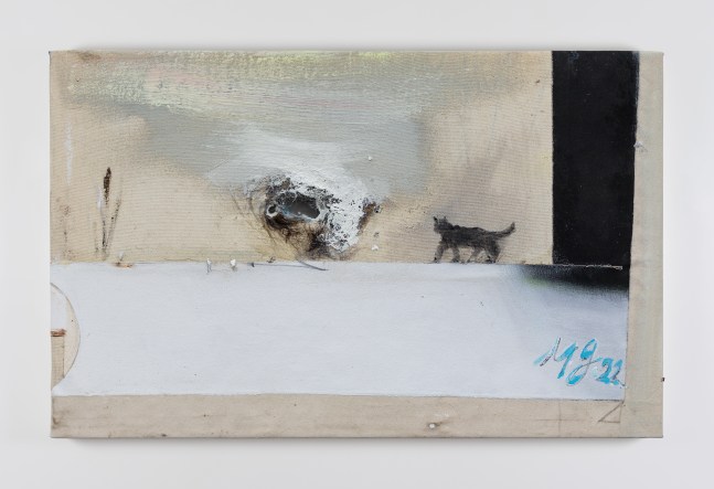 Merlin James - Artists - Kerlin Gallery