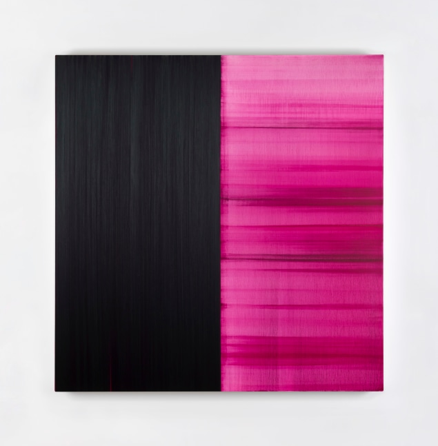 Callum Innes - Artists - Kerlin Gallery