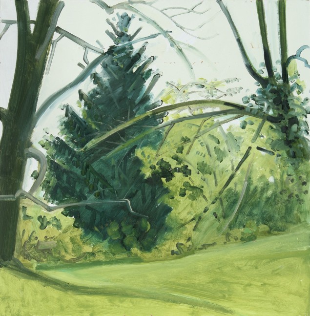 Lois Dodd - Artists & Work - Alexandre Gallery