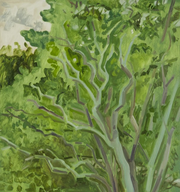 Lois Dodd - Artists & Work - Alexandre Gallery