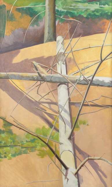 Lois Dodd - Artists & Work - Alexandre Gallery