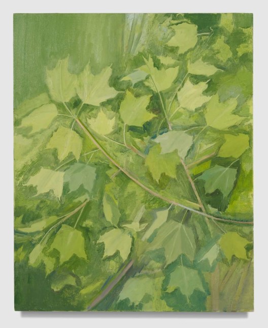 Sylvia Plimack Mangold - - Exhibitions - 125 Newbury Gallery