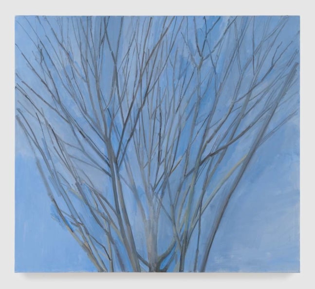 Sylvia Plimack Mangold - - Exhibitions - 125 Newbury Gallery