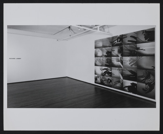 Richard Landry - Photographs - Exhibitions - Castelli Gallery