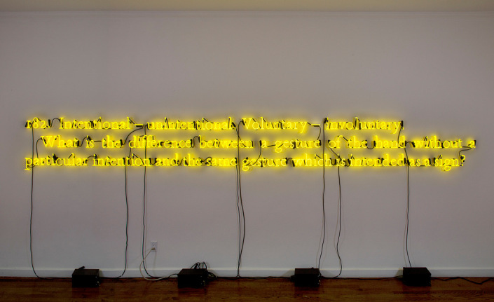 Joseph Kosuth - Freud, Wittgenstein and Musil - Exhibitions - Castelli ...
