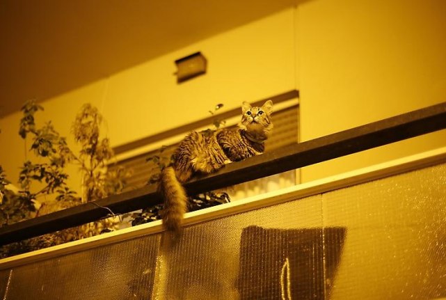 David Hartt - Artists - David Nolan Gallery