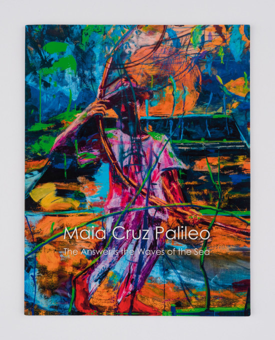 Maia Cruz Palileo - Artist - David Kordansky Gallery