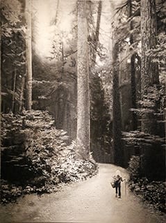 David Willis - Artists - Austin Art Projects