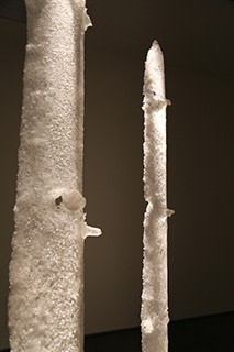 David Willis - Artists - Austin Art Projects