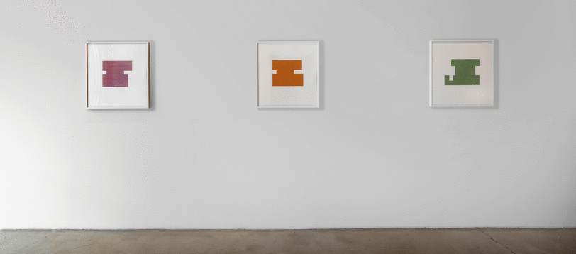 Julia Fish - Artists - Rhona Hoffman Gallery